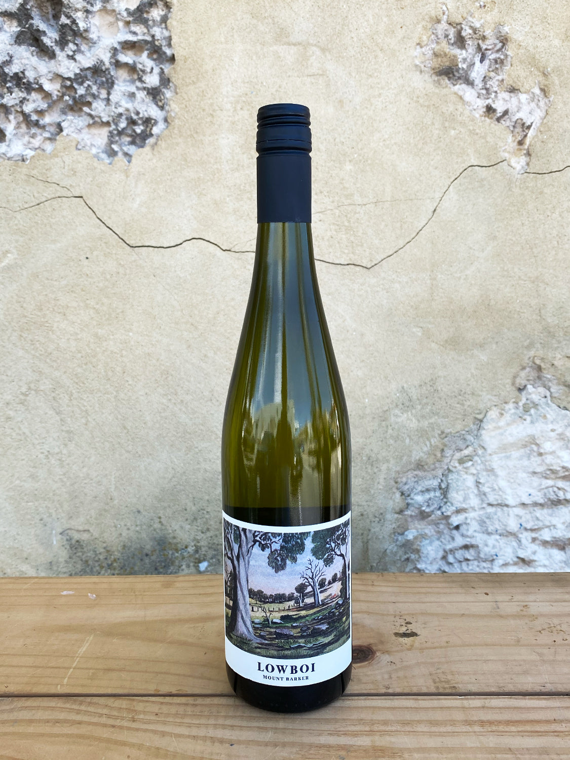 Lowboi Gruner Veltliner 2025 – Old Bridge Cellars